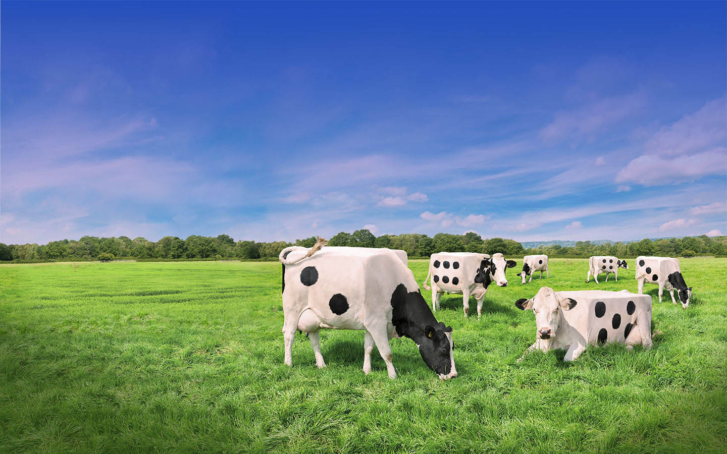 Ubroseal is the only blue teat sealant for dairy cows.